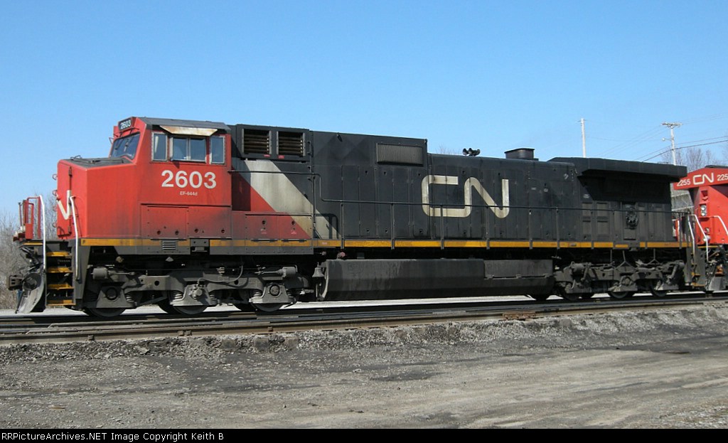 CN 2603